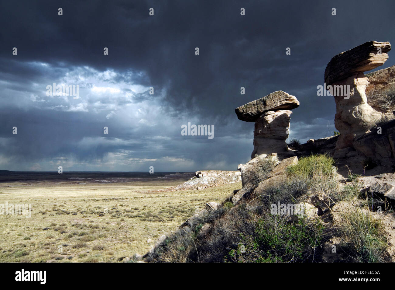 Eroded rocks and thunderstorm above the badlands in the Painted Desert ...
