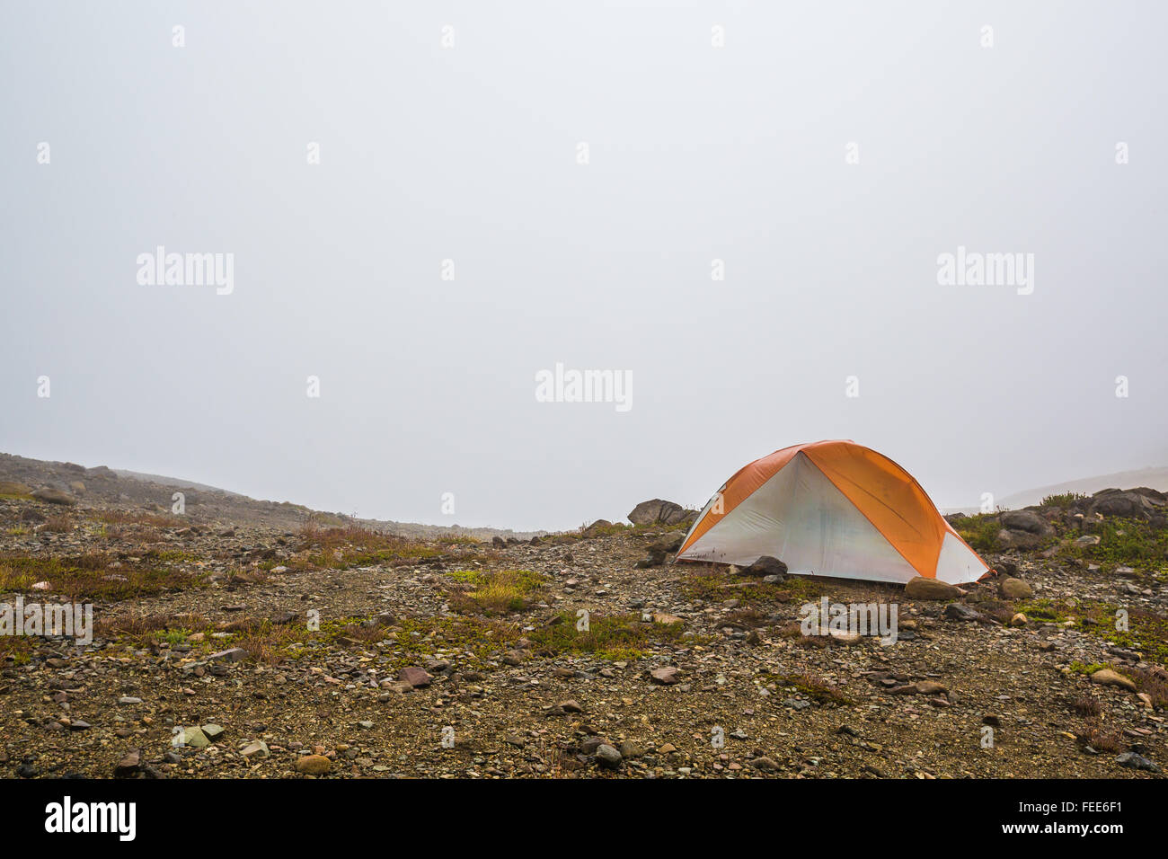 Backpacker's tent at Camp Kiser along the Ptarmigan Ridge Trail near ...