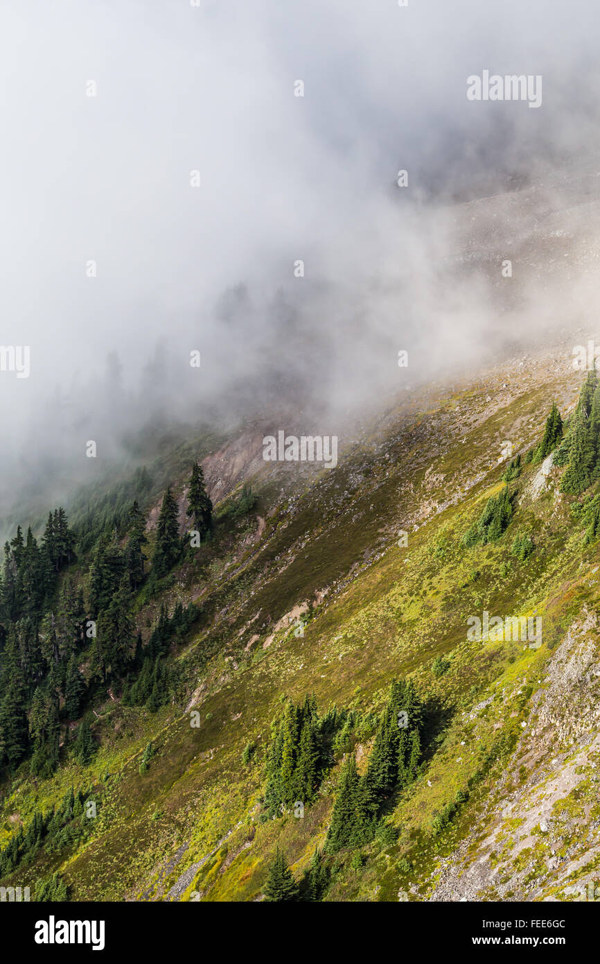 Wispy clouds move over the mountainside, viewed from Ptarmigan Ridge in ...