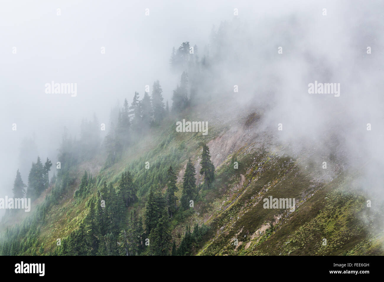 Wispy clouds move over the mountainside, viewed from Ptarmigan Ridge in ...