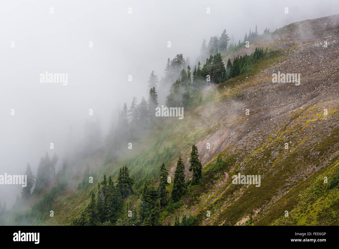 Wispy clouds move over the mountainside, viewed from Ptarmigan Ridge in ...