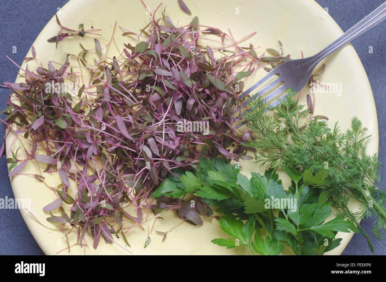 closeup to fresh young amaranth leaves and herbs Stock Photo - Alamy