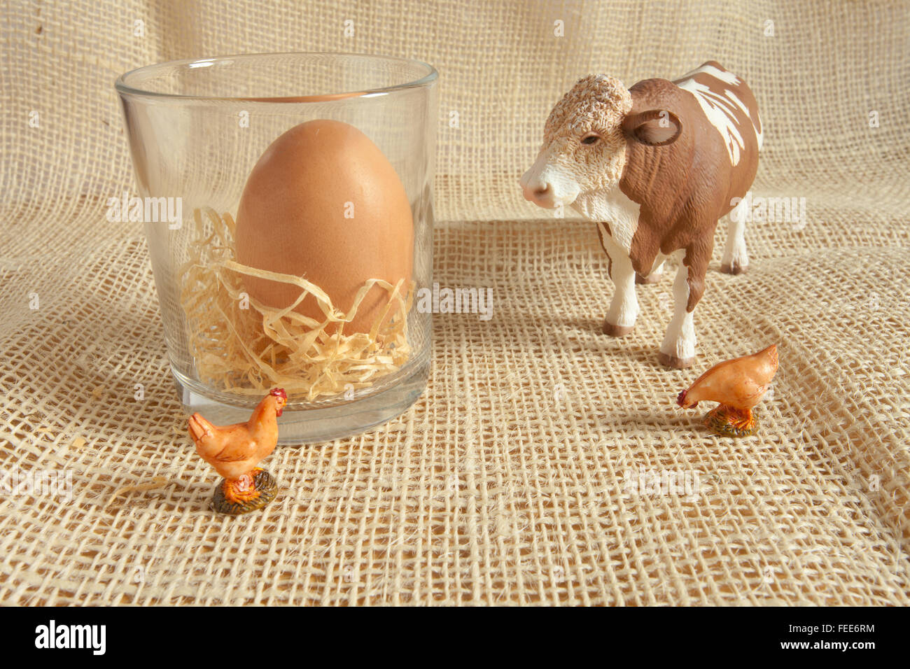 Natural food in the farm Stock Photo - Alamy