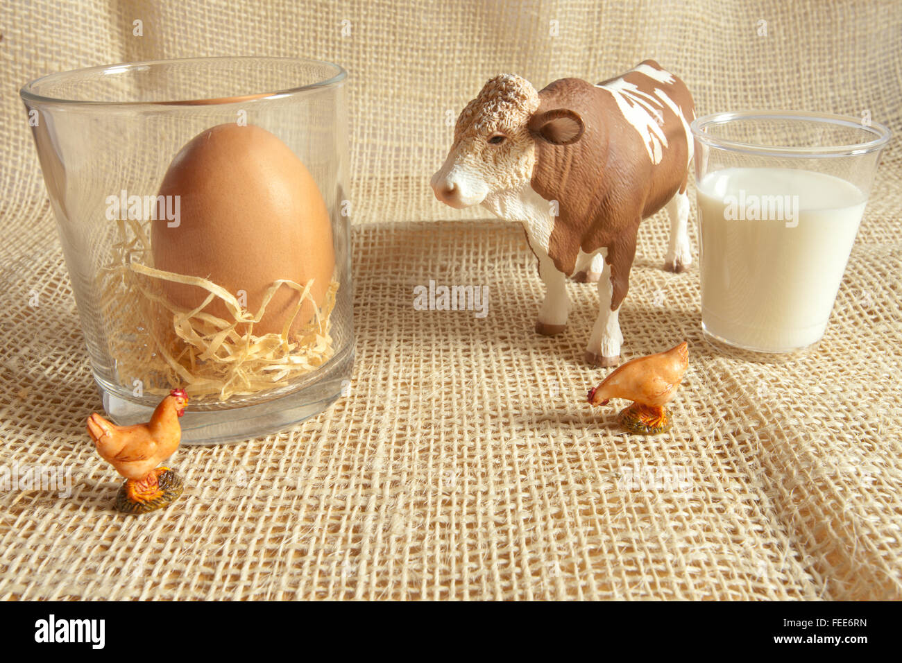 Natural food in the farm Stock Photo - Alamy