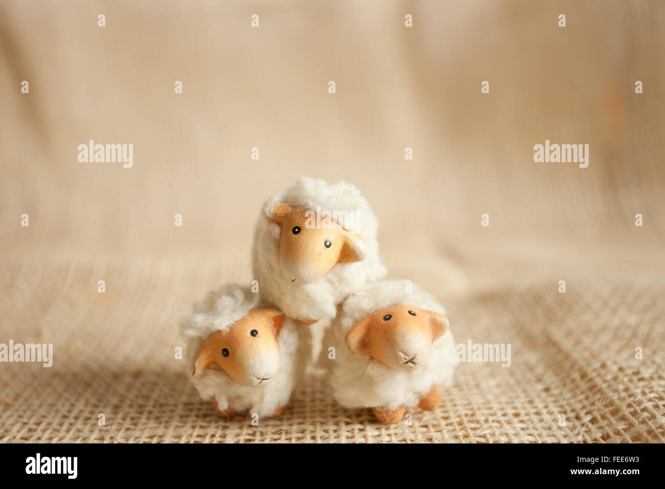 Three cute sheep in the farm Stock Photo - Alamy