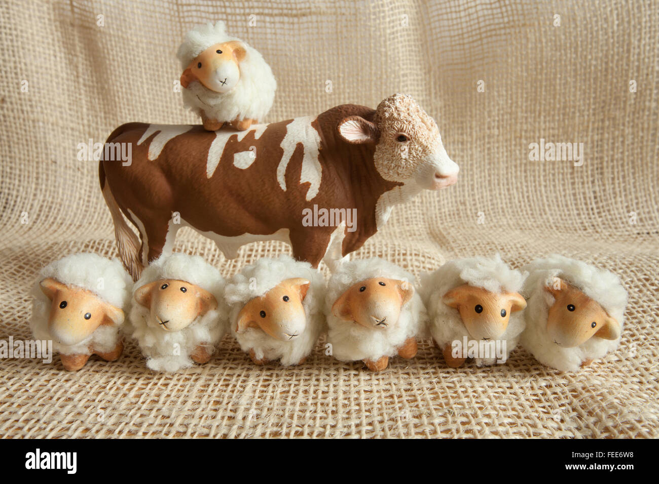 Seven cute sheep and a cow playing together in the farm Stock Photo - Alamy