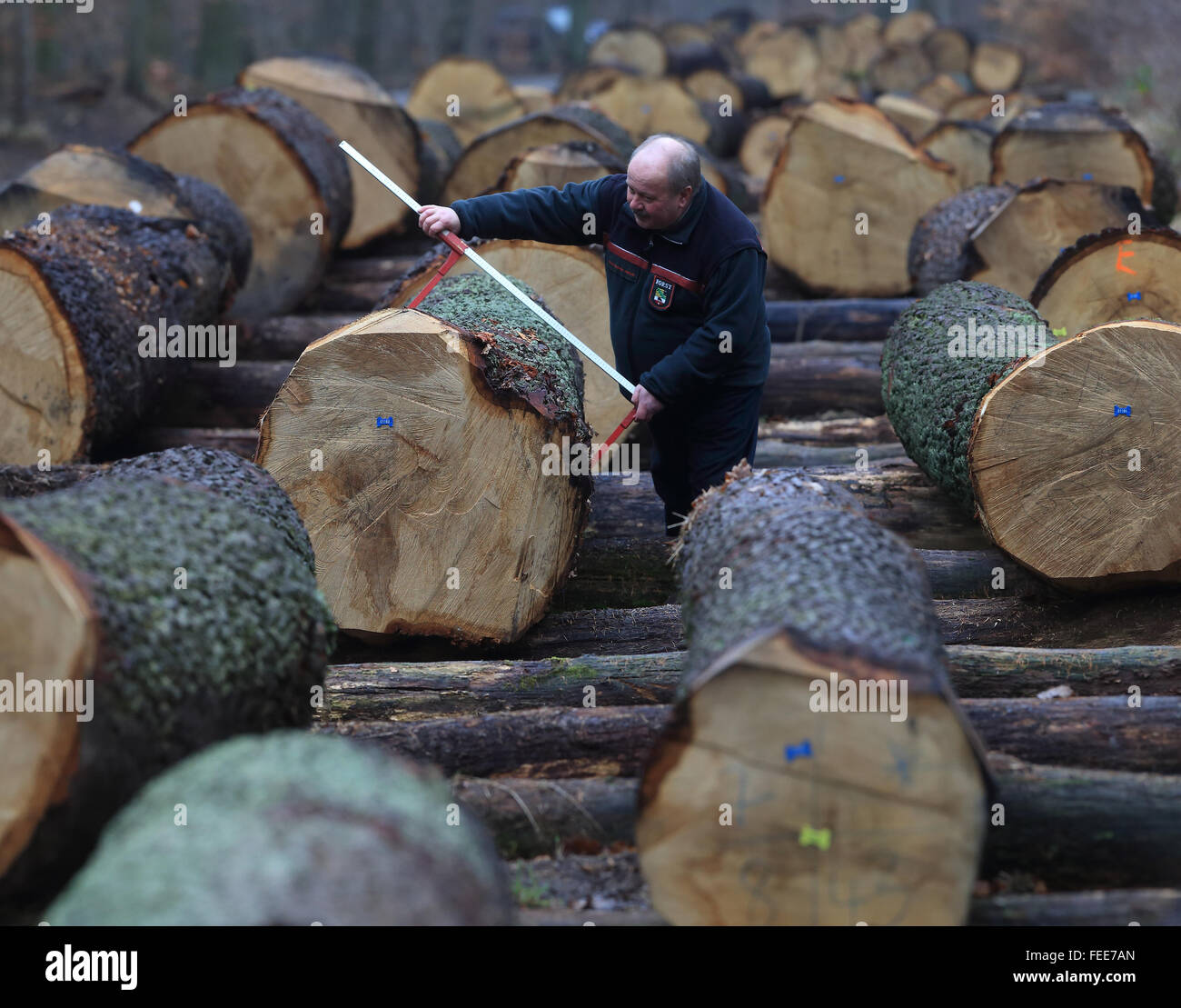 Numbered tree hi-res stock photography and images - Alamy