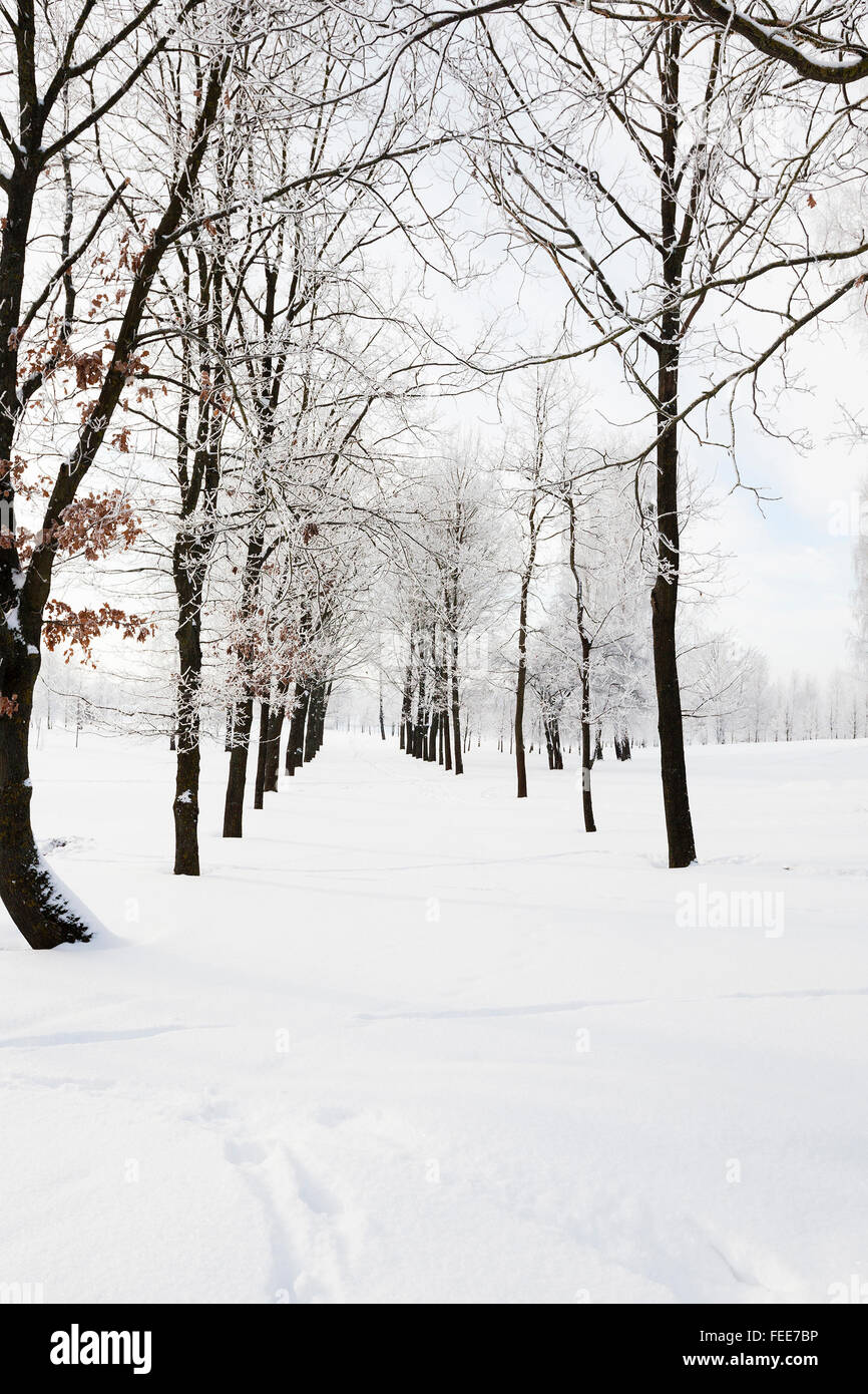 Winter Park , snow Stock Photo - Alamy