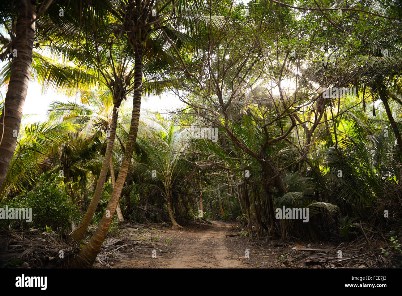 Path to the beach at the Wetland Natural Reserve Punta Tuna (Reserva ...