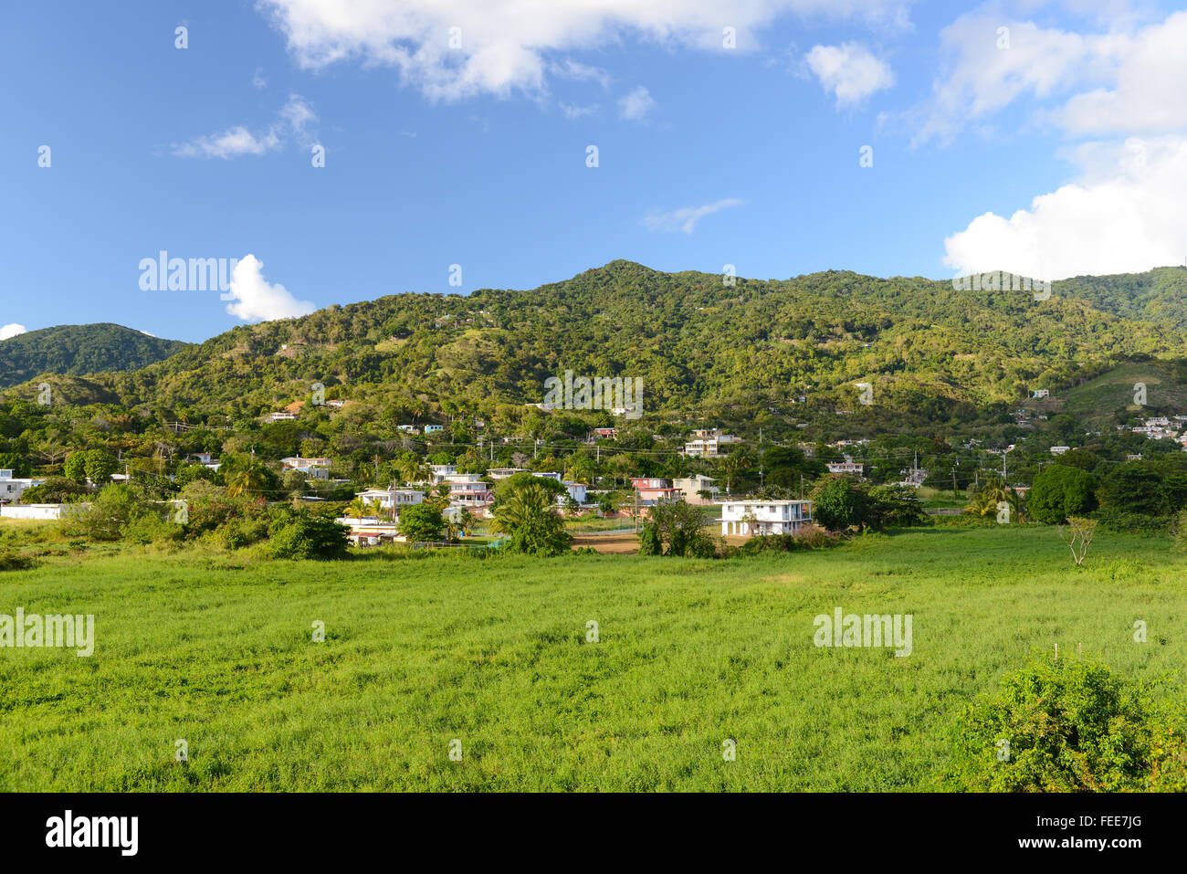View from an observation tower at Wetland Natural Reserve Punta Tuna ...