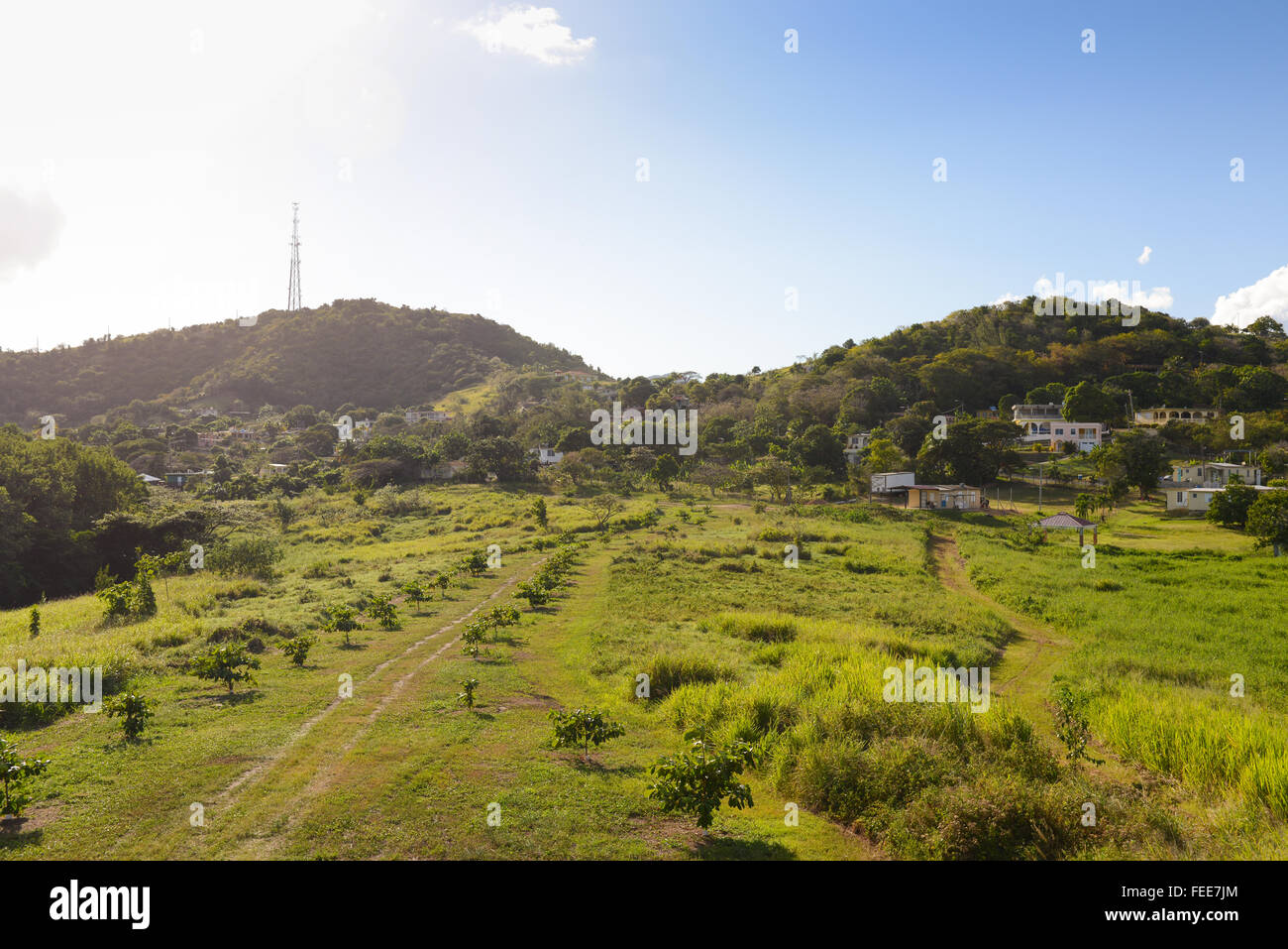 View from an observation tower at Wetland Natural Reserve Punta Tuna ...