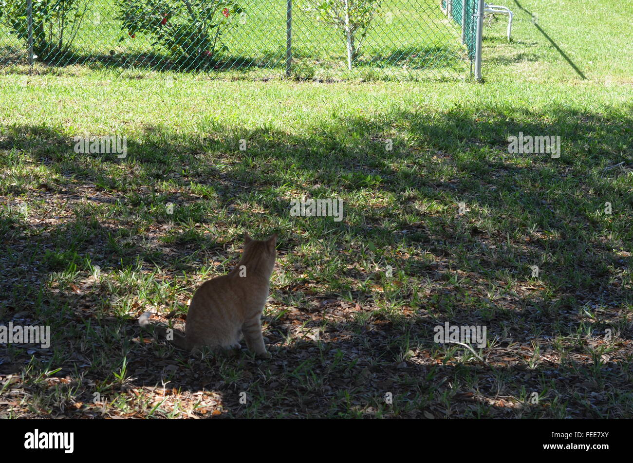 laura litterio real estate photography Stock Photo - Alamy