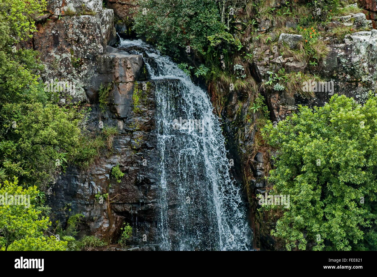 Upper part of Mac Mac waterfall, Mpumalanga, Blyde river area, Sabie ...