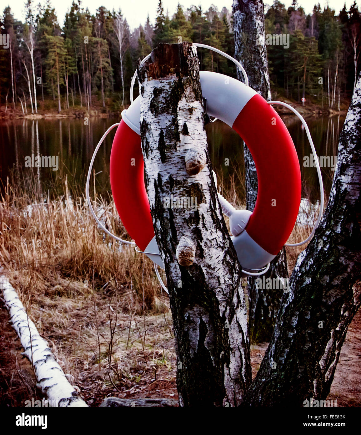Emergency tire floating tube hanging from a branch on the border of a ...