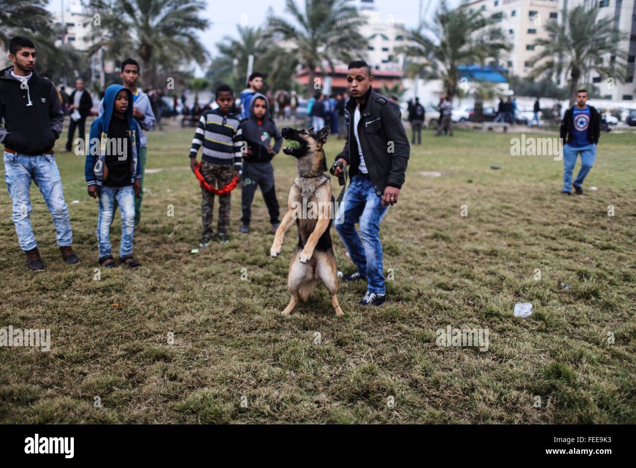 First dog hi-res stock photography and images - Alamy