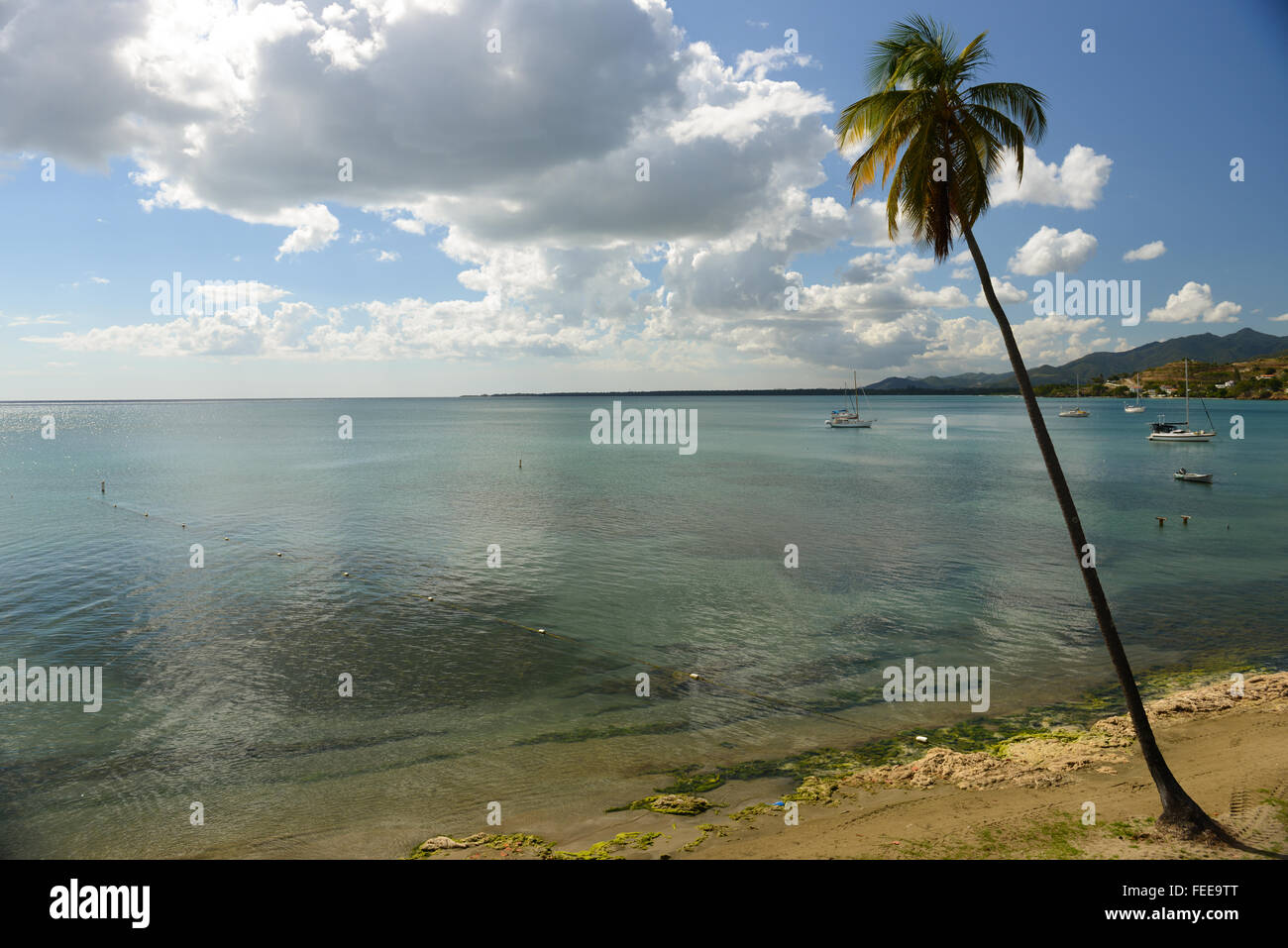 Patillas puerto rico hi-res stock photography and images - Alamy