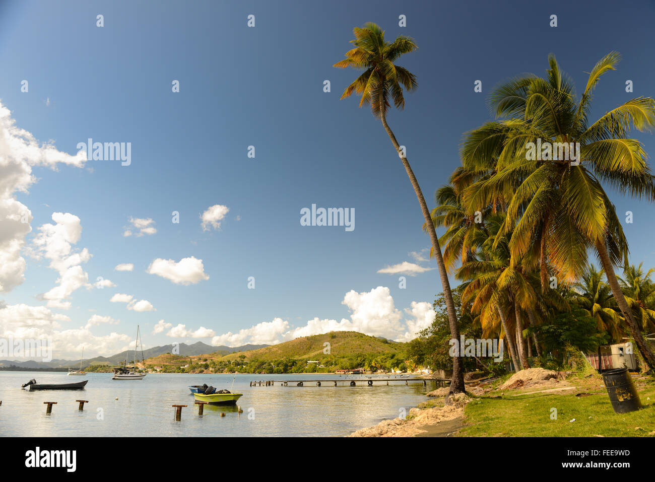 Tropical scene of palm trees, boats and calm waters in a recently ...