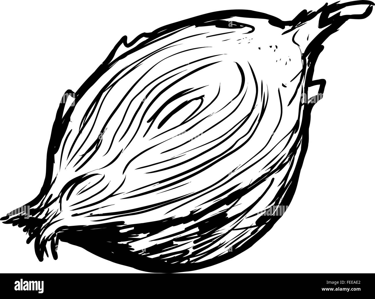 White Onion Slice Clip Art