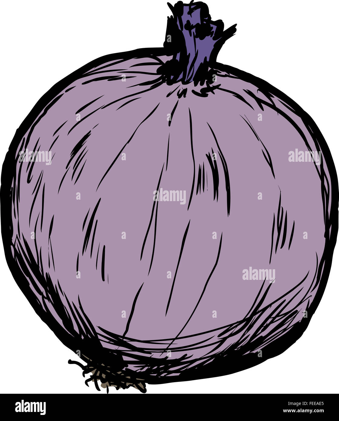 Hand drawn single whole raw red onion cartoon over isolated background ...