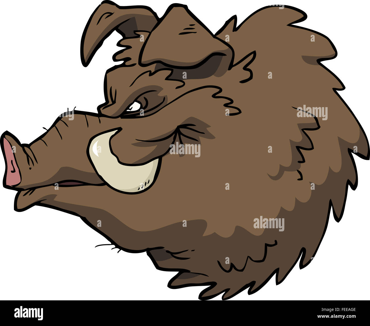 Danger Wild Boar Sign High Resolution Stock Photography and Images - Alamy