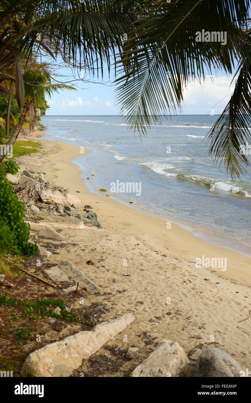 Tropical scene along the shore of the town of Patillas, Puerto Rico ...