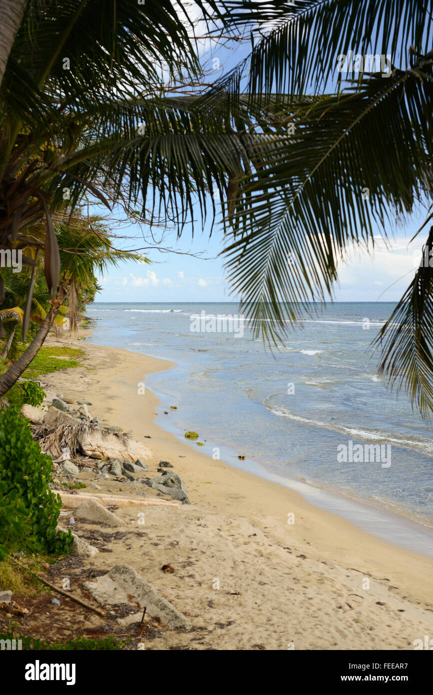 Patillas Puerto Rico High Resolution Stock Photography and Images - Alamy