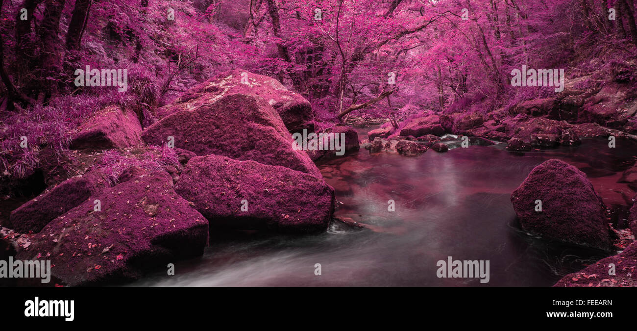 Stunning surreal alternate landscape of river flowing through forest ...