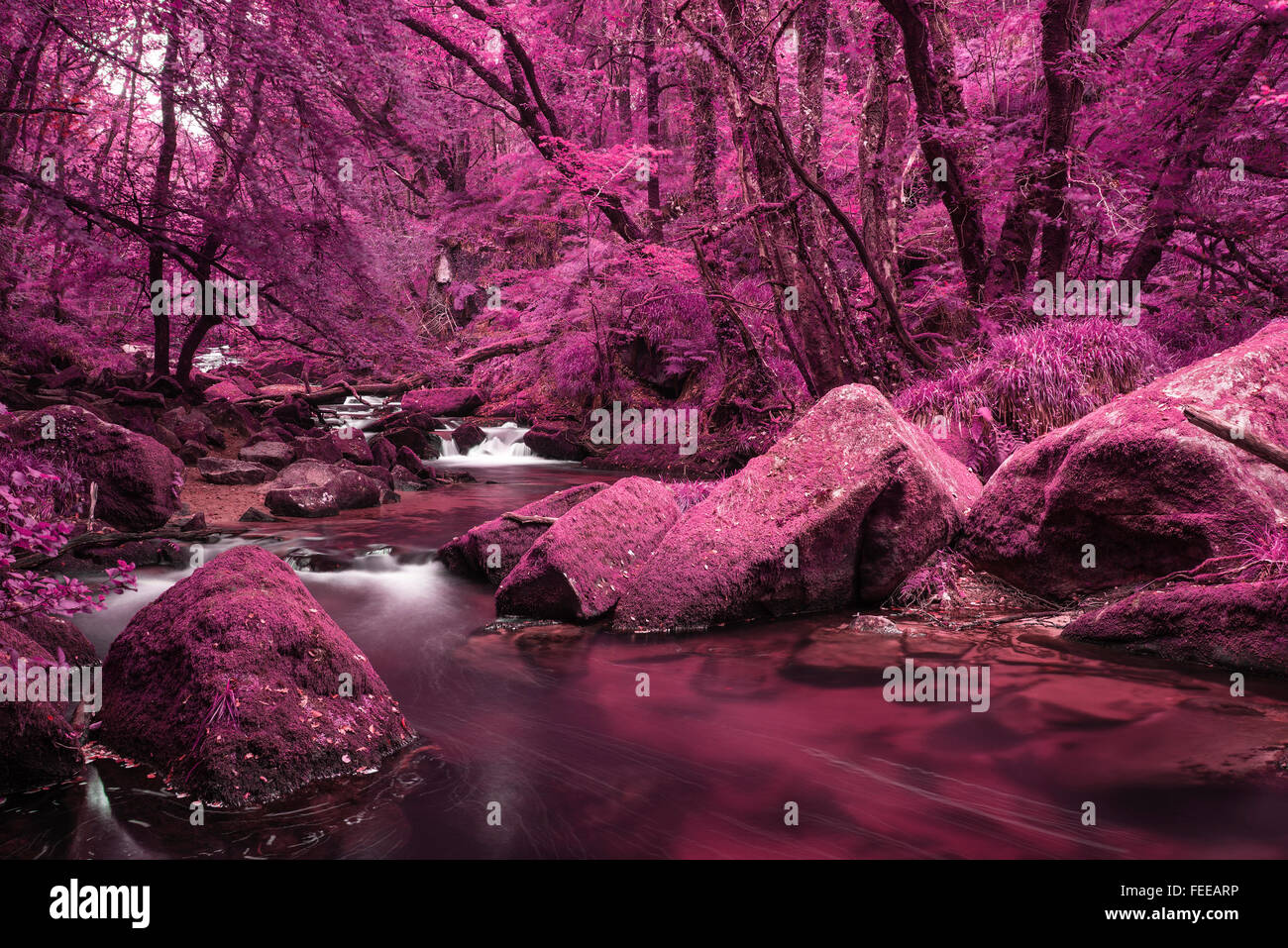 Stunning surreal alternate landscape of river flowing through forest ...