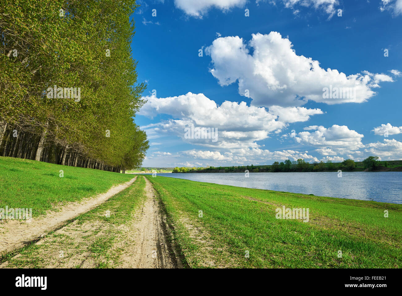 Spring forest with ground road near river hi-res stock photography and ...