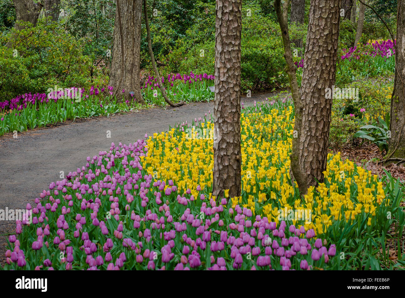 Botanicalgarden hi-res stock photography and images - Alamy