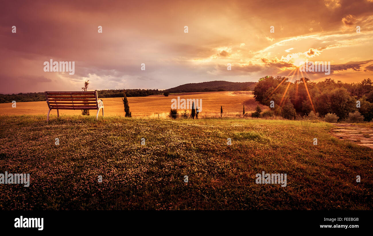 Lone cypress tree sunrise hi-res stock photography and images - Alamy