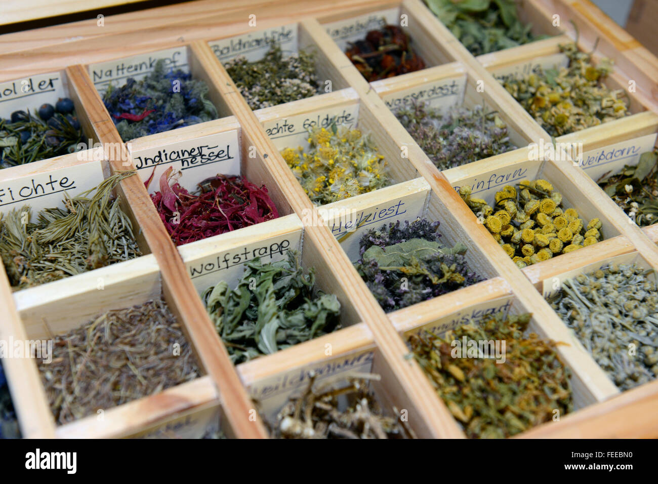 Collection of dried herbs and medicinal plants, education, Germany ...
