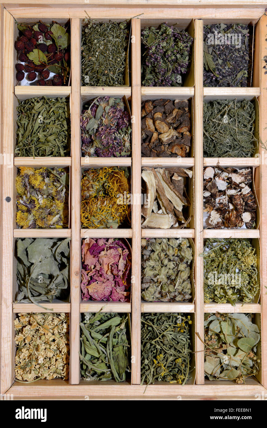 Collection of herb plants hi-res stock photography and images - Alamy