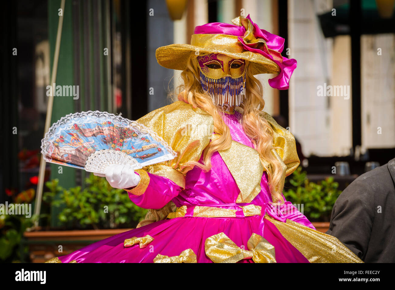 Woman in Carnival dress, Venice, Veneto, Italy Stock Photo - Alamy
