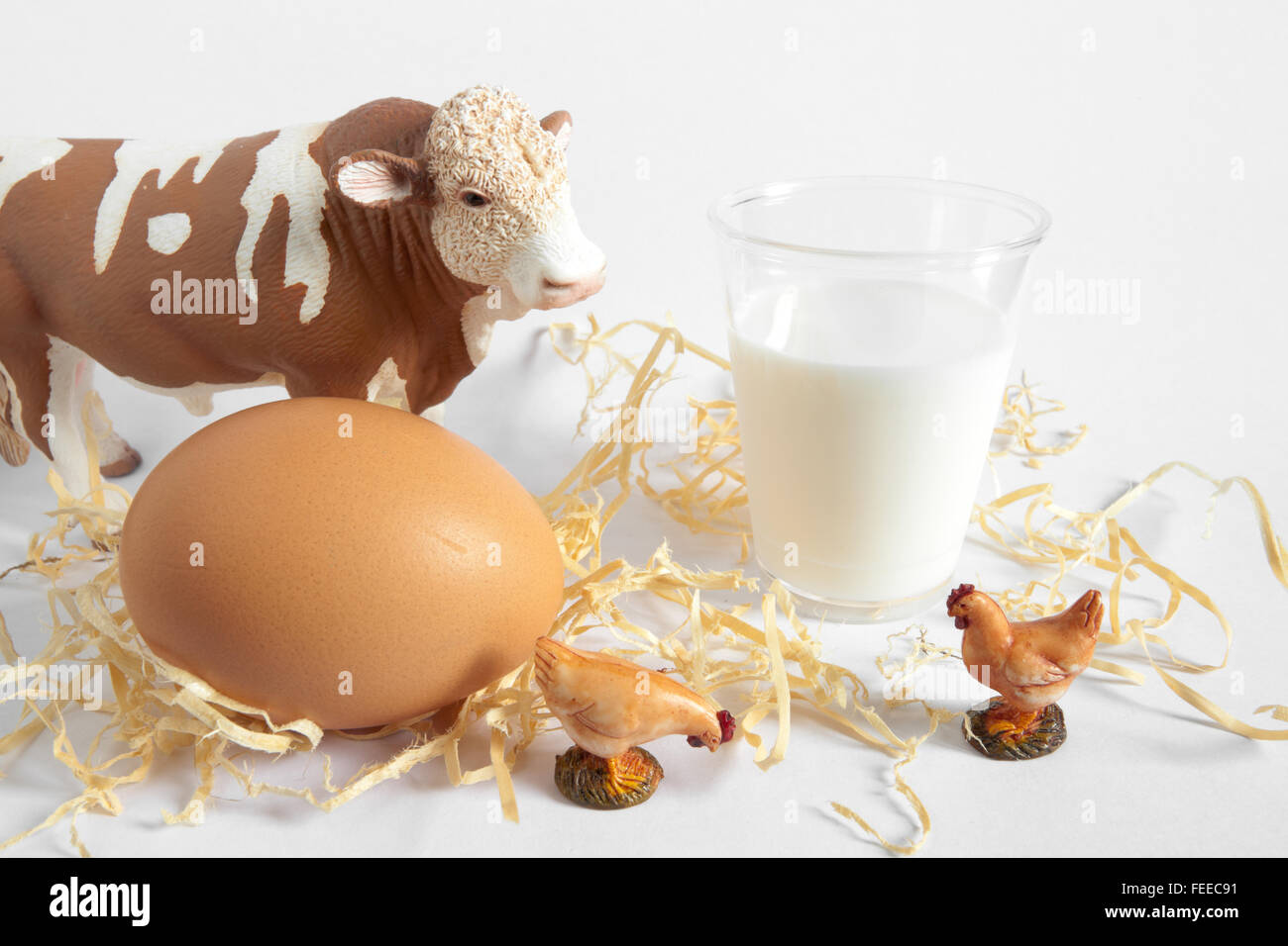 Inside the farm Stock Photo - Alamy