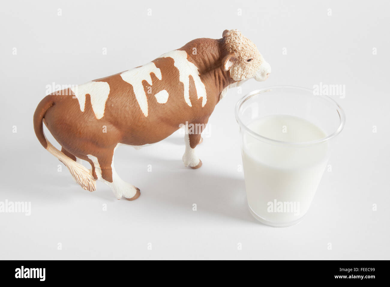 Cow and milk in the farm Stock Photo - Alamy