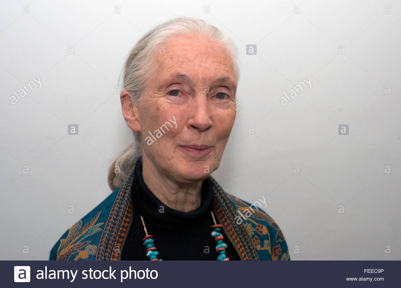 Dame Jane Morris Goodall Stock Photos & Dame Jane Morris Goodall Stock ...