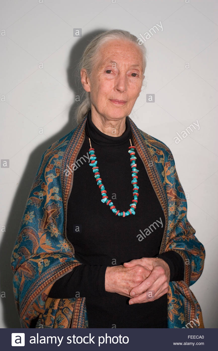 Dame Jane Morris Goodall Stock Photos & Dame Jane Morris Goodall Stock ...