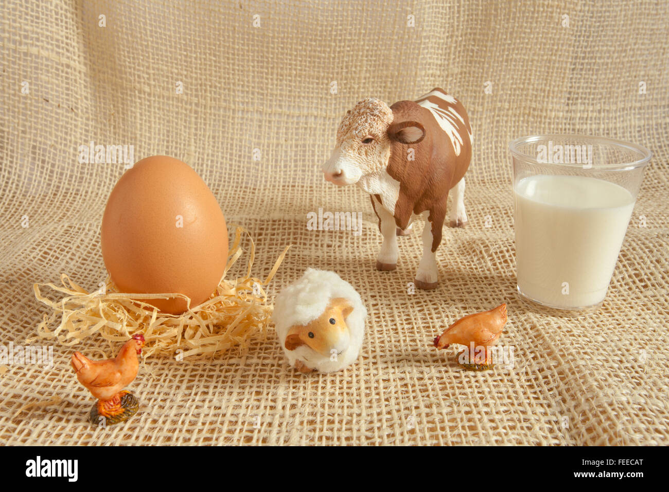 Natural food in the farm Stock Photo - Alamy