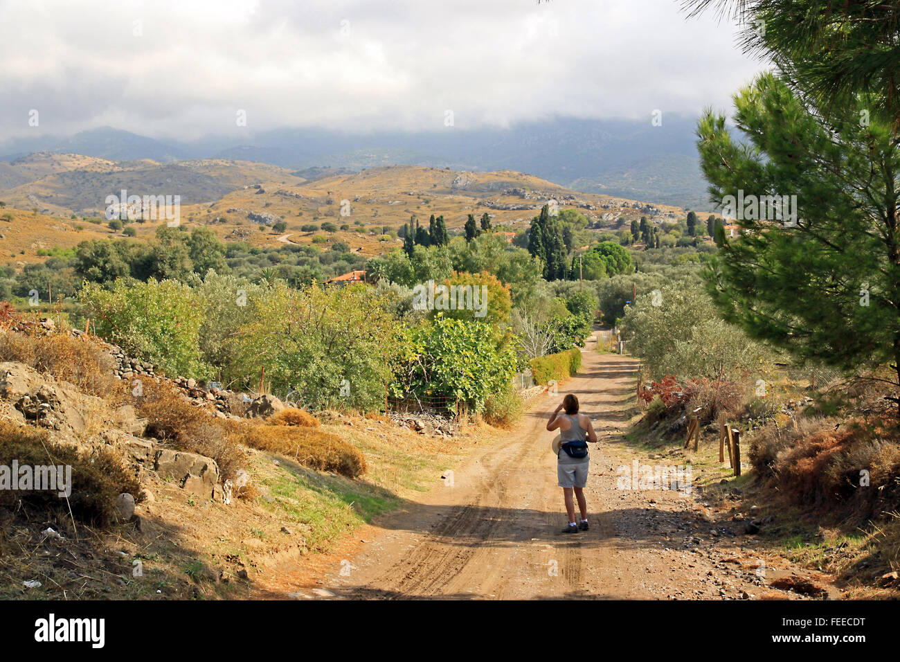 Greek countryside hi-res stock photography and images - Alamy