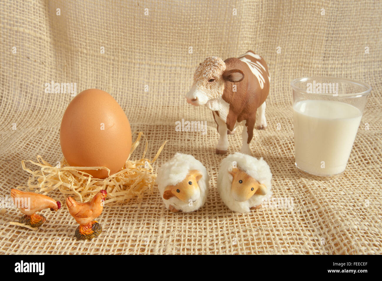 Natural food in the farm Stock Photo - Alamy