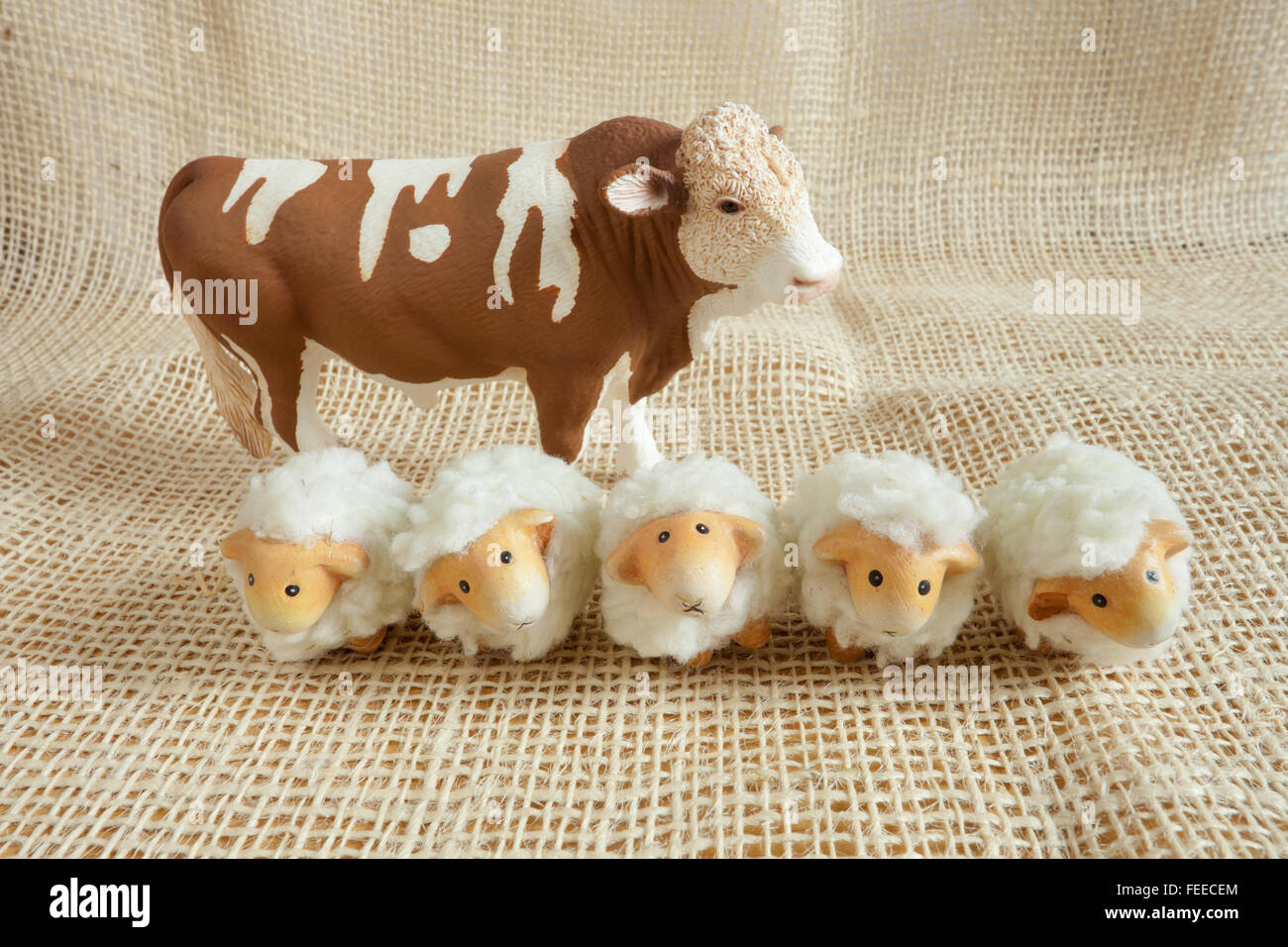 Five cute sheep and a cow in the farm Stock Photo - Alamy