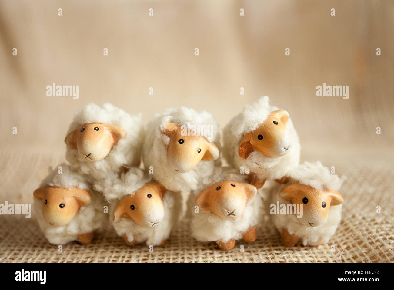 Seven cute sheep playing together in the farm Stock Photo - Alamy