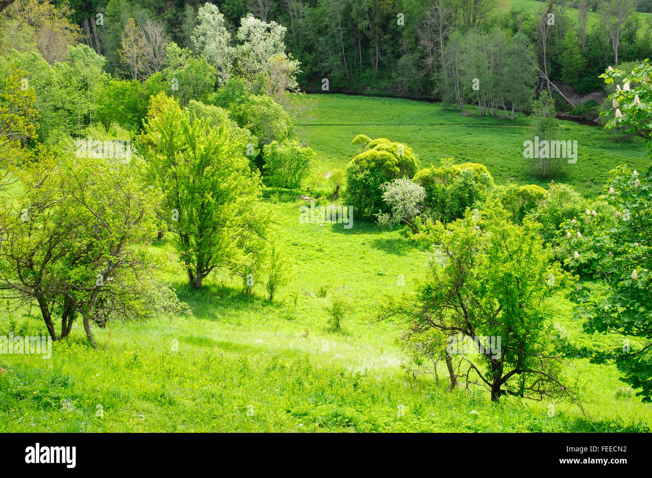 Heterogeneous habitat mosaic in Latvian farmland Stock Photo - Alamy