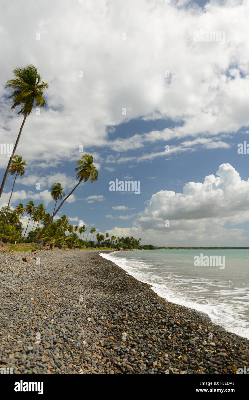Caribbean rocky beach hi-res stock photography and images - Alamy