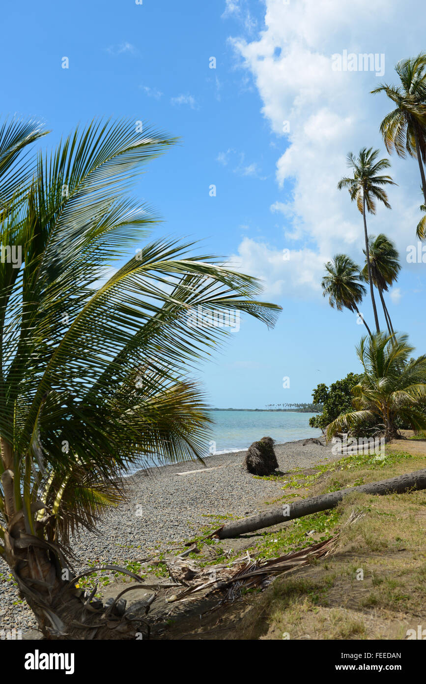 Tropical view of a rocky sand beach in Salinas, Puerto Rico. Caribbean ...