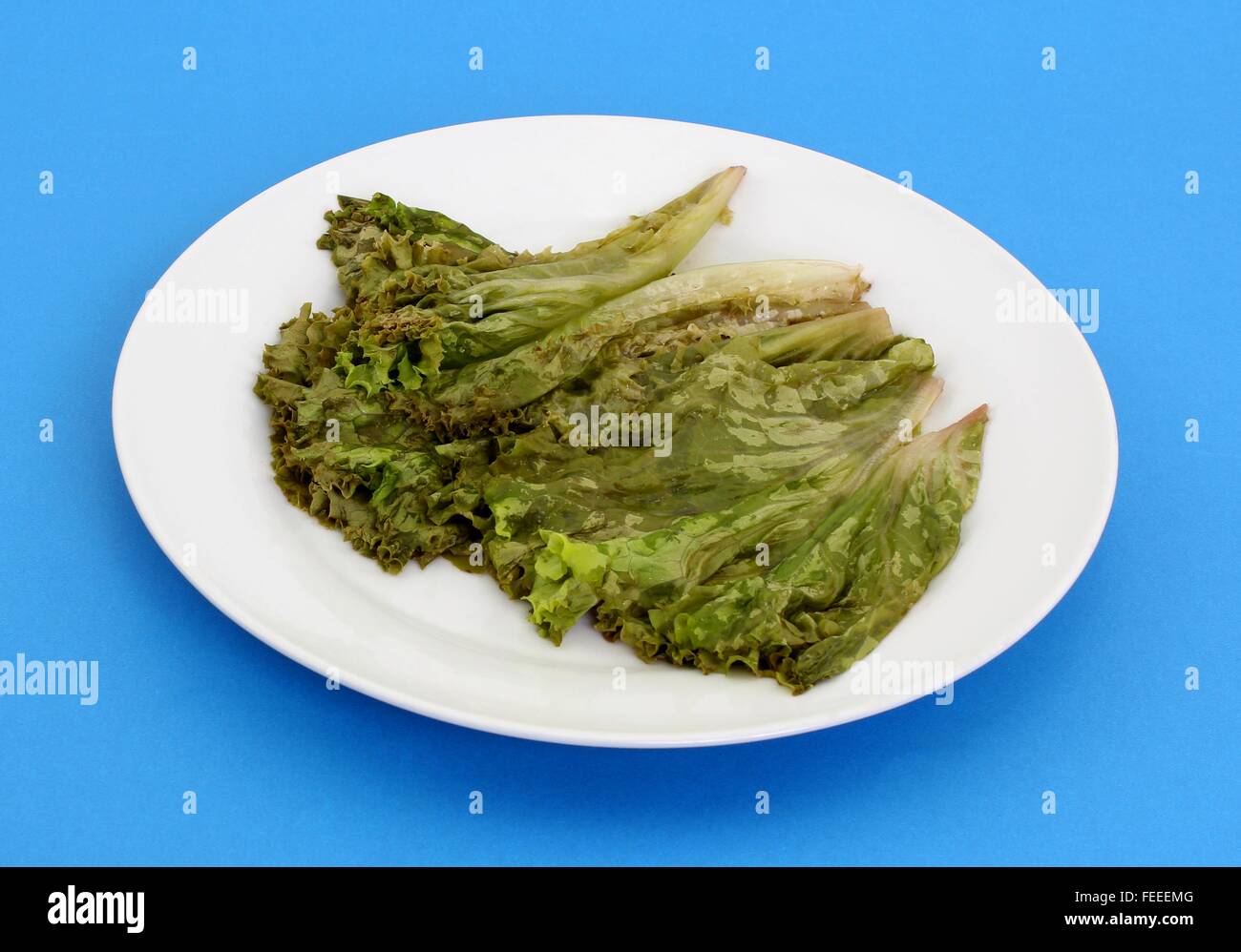 Lettuce before seasoned with vinegar, with fresh appearance Stock Photo ...
