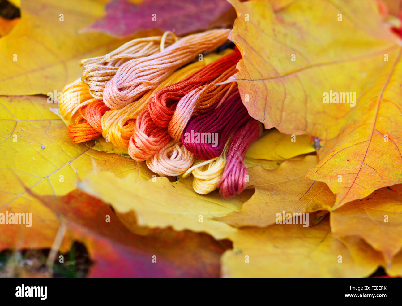 Colors of autumn, colorful mouline threads look like autumn leaves ...