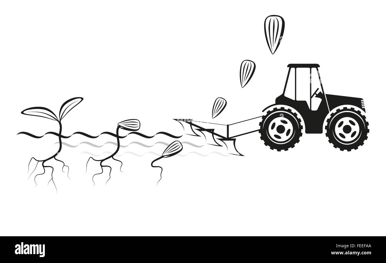 Arable crops field farming Cut Out Stock Images & Pictures - Alamy