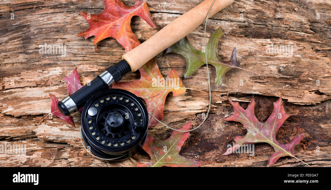 Fly fishing reel with dry weathered tree and fall leaves. Horizontal ...